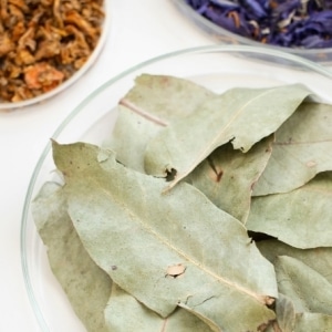 Groupe Berkem - Integrating plant chemistry into everyday life